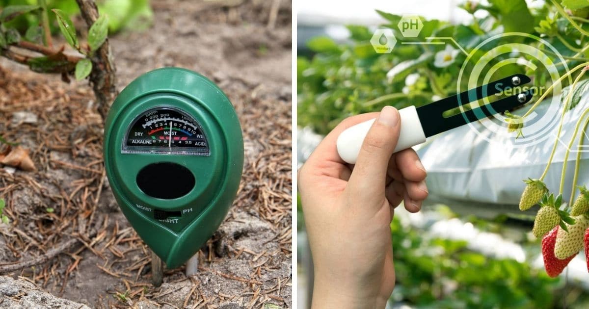 FC-BRSL – Innovate Your Garden!